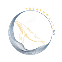 Breathwave México - Breathwork Training, Breathwork Training